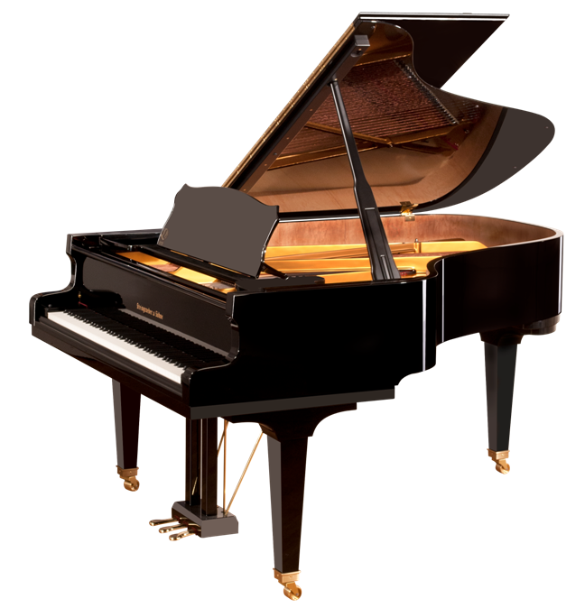 Steingraeber B-192 wing